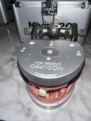 ModuPRO Acadental Typodont with Case and Endo Inserts | eBay