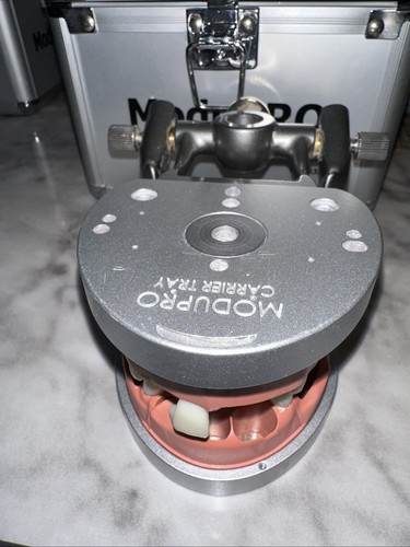 ModuPRO Acadental Typodont with Case and Endo Inserts | eBay