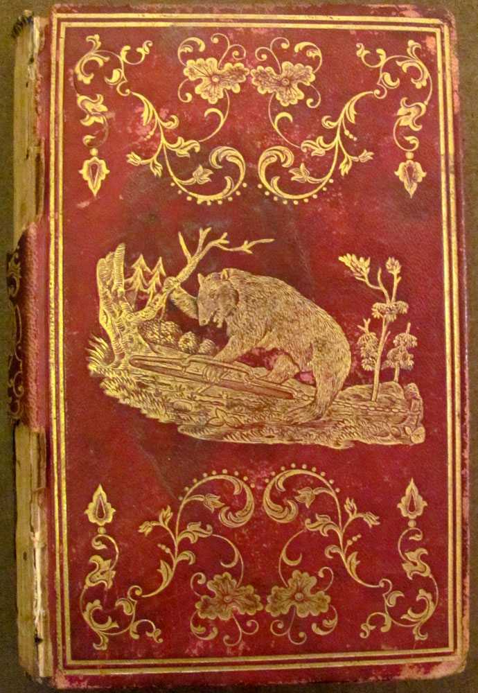 Trappers of New York, or a Biography of Nicholas Stoner & Nathaniel ...