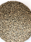 5 LB Colombian Pacamara Unroasted Coffee Beans | eBay
