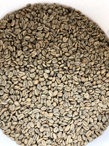 5 LB Colombian Pacamara Unroasted Coffee Beans | eBay
