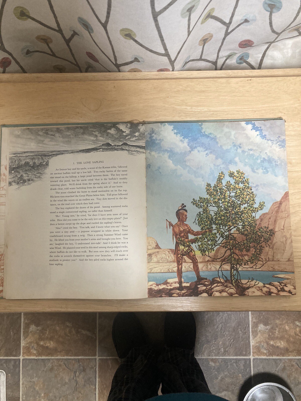 Tree In The Trail by Holling C. Holling Vintage Hardcover 1942 | eBay