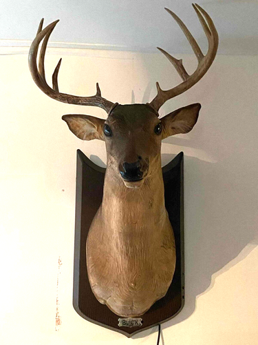 Gemmy The Buck Animated Trophy Singing Talking Deer Motion Detected ...