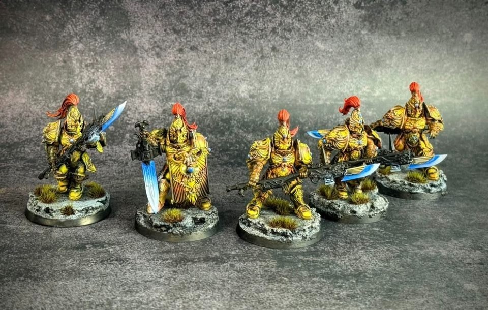 2000 Point Adeptus Custodes Army Pro Painted Warhammer 40k Made-To ...