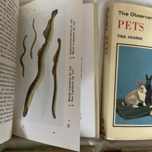 Observer Books Job Lot of 6. dogs, insects moths horses fish pets | eBay UK