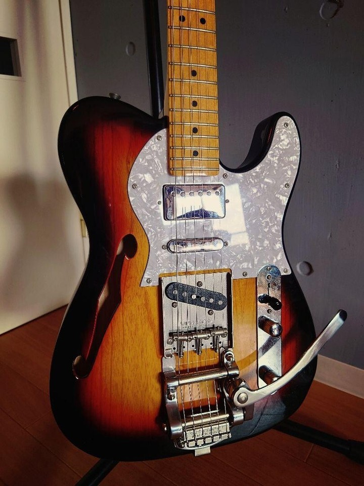 Fender Japan Thinline Telecaster Fujigen Bigsby USA Vintage Electric ...