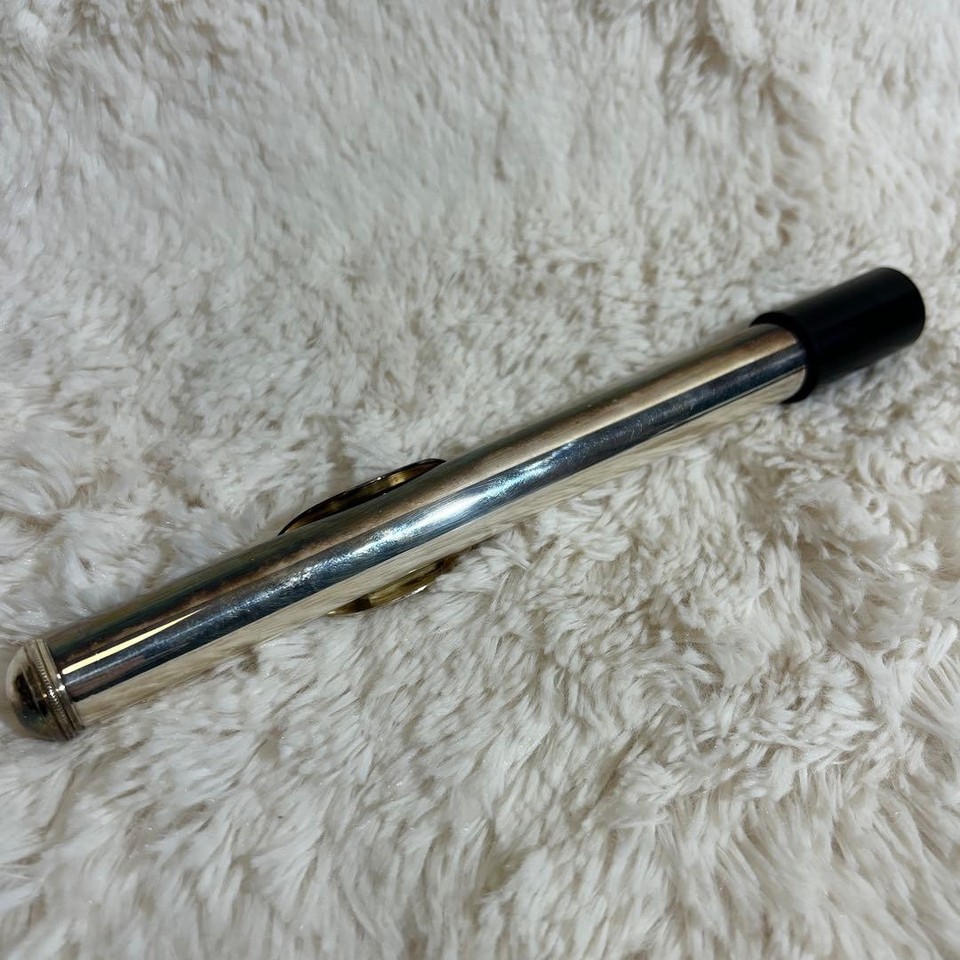 Maxtone Flute with Case, Used, No Sound Test, Slight Damage, Free ...