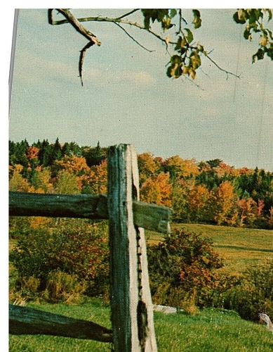 VINTAGE POSTCARD WILMINGTON VERMONT COLOR FALL SCENE STOWE HILL ROAD ...