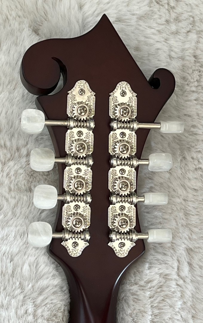 The Loar LM-590-MS Contemporary Acoustic All Solid F-Style Mandolin | eBay