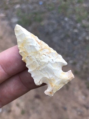 Nice Big Sandy Authentic Georgia Florida Native American Artifacts ...