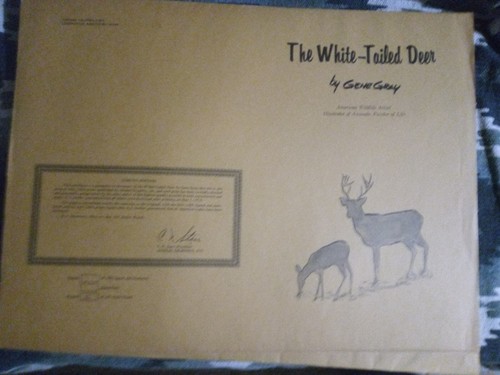 Gene Gray 1970 'White Tailed Deer' Art Proof 32/100 | eBay