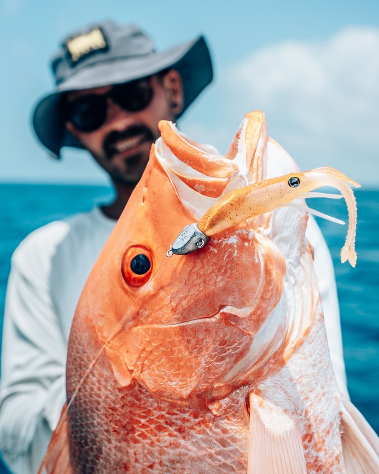 Nomad Design Live Ops Jerksquid 7" Soft Plastic Fishing Lure - Choose Colour BRA | eBay