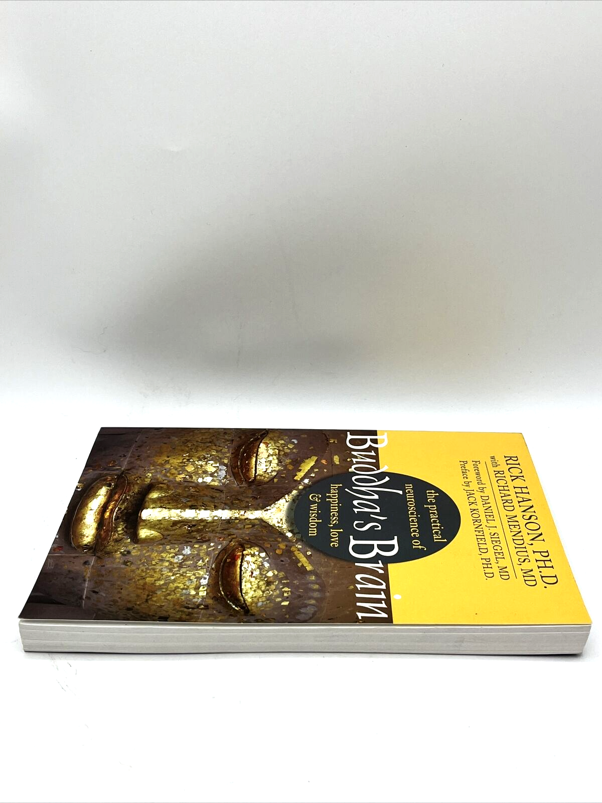 Buddah’s Brain Happiness Love & Wisdom Rick Hanson PH.D With Richard ...