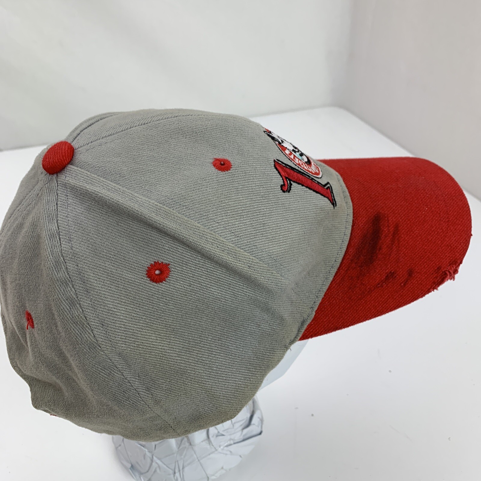 Rivercity Rascals 10th Anniversary Ball Cap Hat Adjus… - Gem