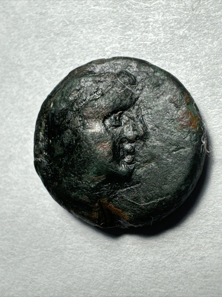 150-140 BC PANTICAPAEUM , Bronze Coin OBOL | eBay