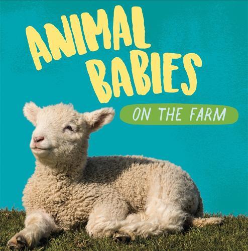 Sarah Ridley Animal Babies: On the Farm (Hardback) Animal Babies (UK ...