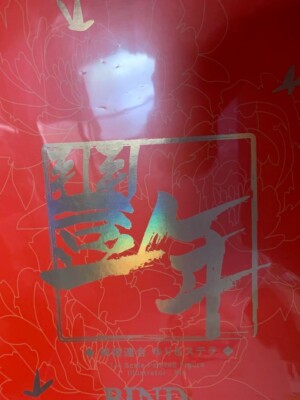 BINDing Native Hounen Moehime Union Yuri & Stella 1/4 Scale Figure MINT ...