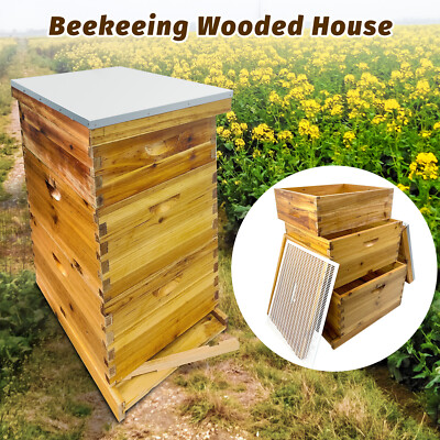 3 Boxes Complete Langstroth Beehive Kit - 2 Deep & 1 Medium Boxes ...