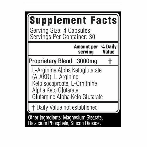 NITRO XL (3 PK) - Nitric Oxide Bodybuilding Supplement with L-Arginine ...