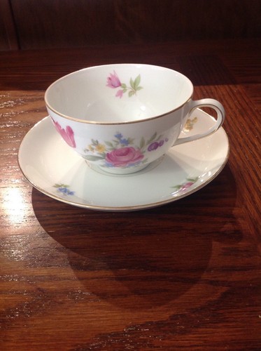 Vintage Thomas China Germany Tea Cup Saucer Lakewood Pattern 3557 | eBay