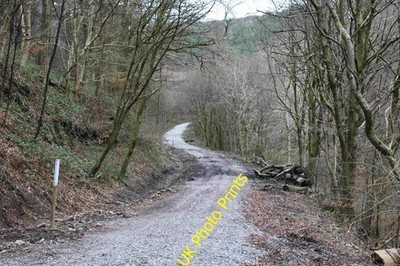 Photo A3 Forestry Road, up Cwm Big, Aberbeeg Abertillery/Abertyleri Mai ...