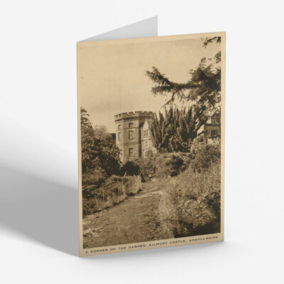 GREETING CARD - Vintage Scotland - A Corner of the Garden, Kilmory ...