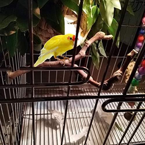 Parrot Perches,Natural Birdcages Stands Birds Perch Climbing Paw Types ...