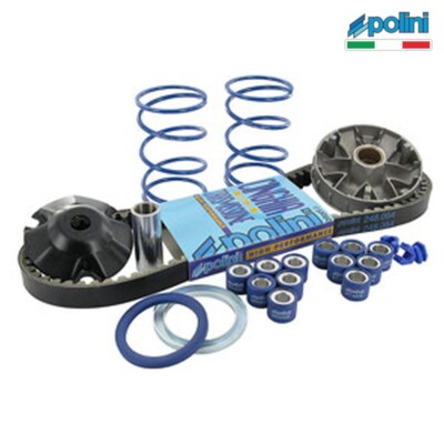 Variateur Hi-Speed POLINI 241.672.1 Piaggio Bras Court Zip Fast Rider ...