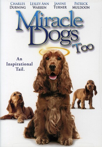 Miracle Dogs Too (DVD, 2005) for sale online | eBay