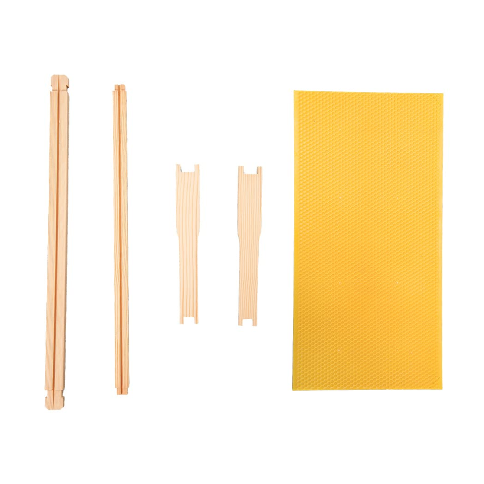 Deep Brood Beehive Frames with Wax Foundation,10 Pack Honey Bee Frames ...