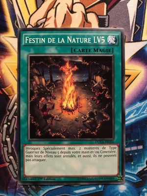 Yu-Gi-Oh! Festin de la Nature LV5 DUEA-FR056 | eBay