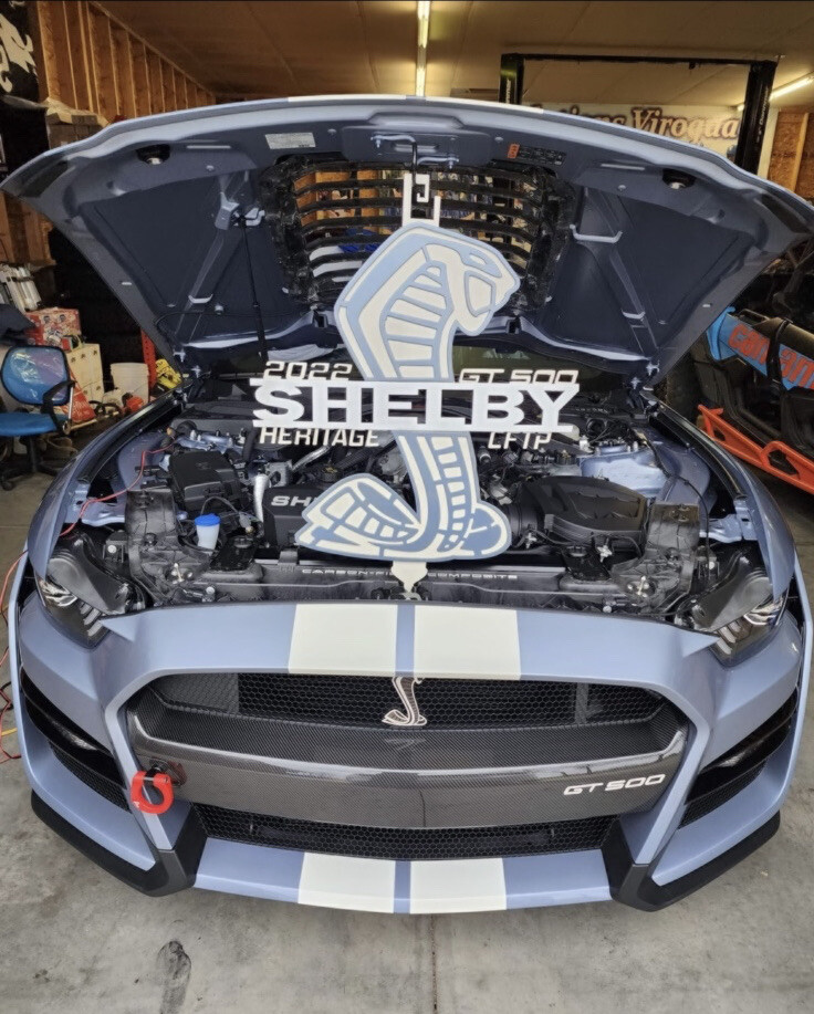Shelby GT350 Mustang Hood Prop CANDY RED&BLACK Powder Coated ...