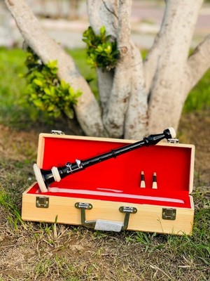 Tuneable Rosewood Bombard Chanter Black Wooden Chanter + 2 Reeds & Hard ...