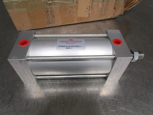 New Advance Automation Pneumatic Cylinder B700X5/0.75-FCX-RCX-1-N38-11 ...