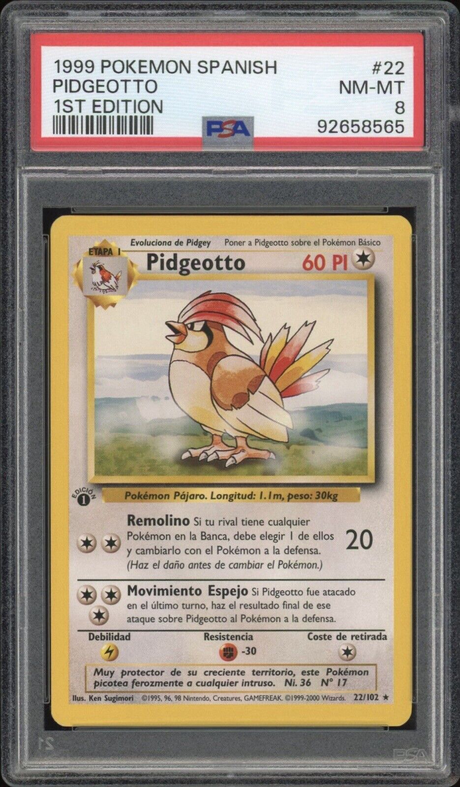 1999 Pokemon SPANISH 1st Edition Base Set Pidgeotto 22/102 PSA 8 NM-MT ...