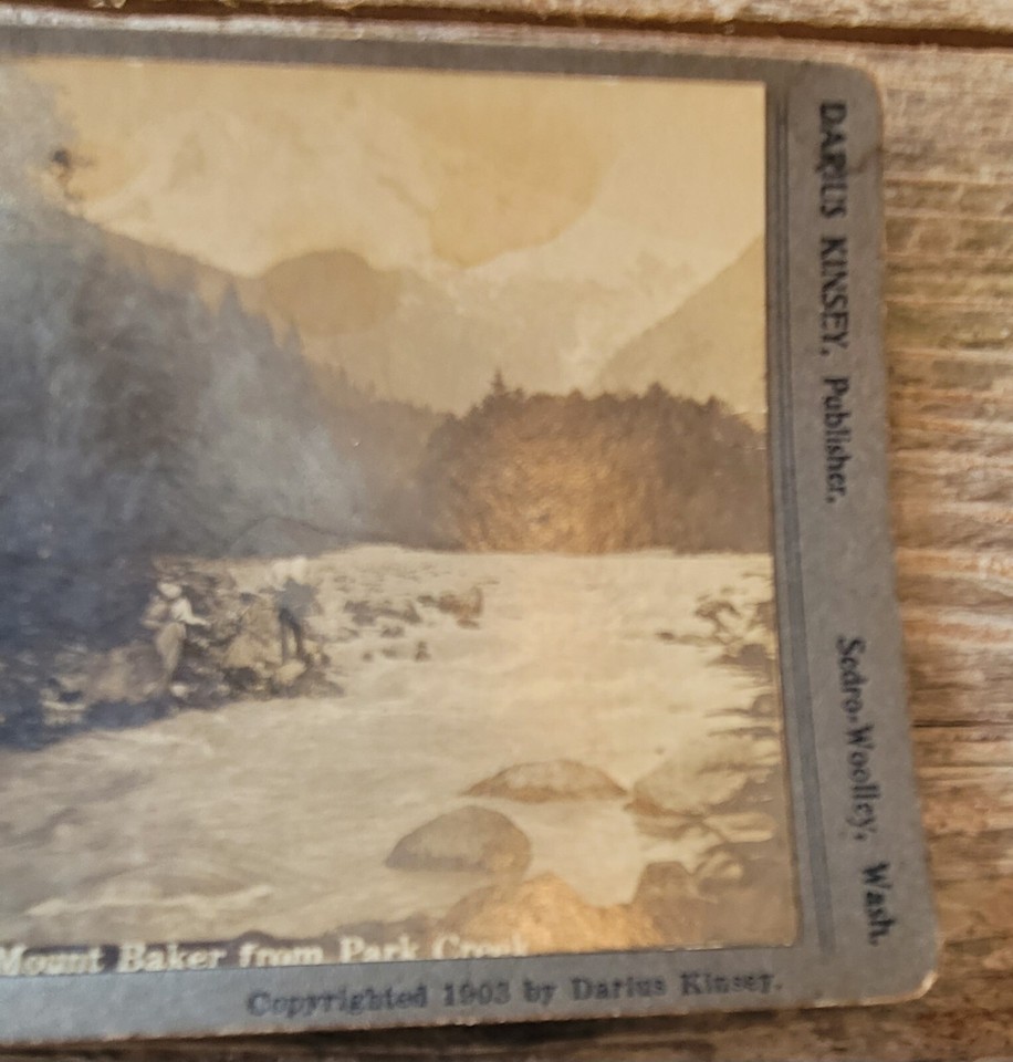 Antique Darius Kinsey Cabinet Card Photos- Lumber yard & Mount Baker ...