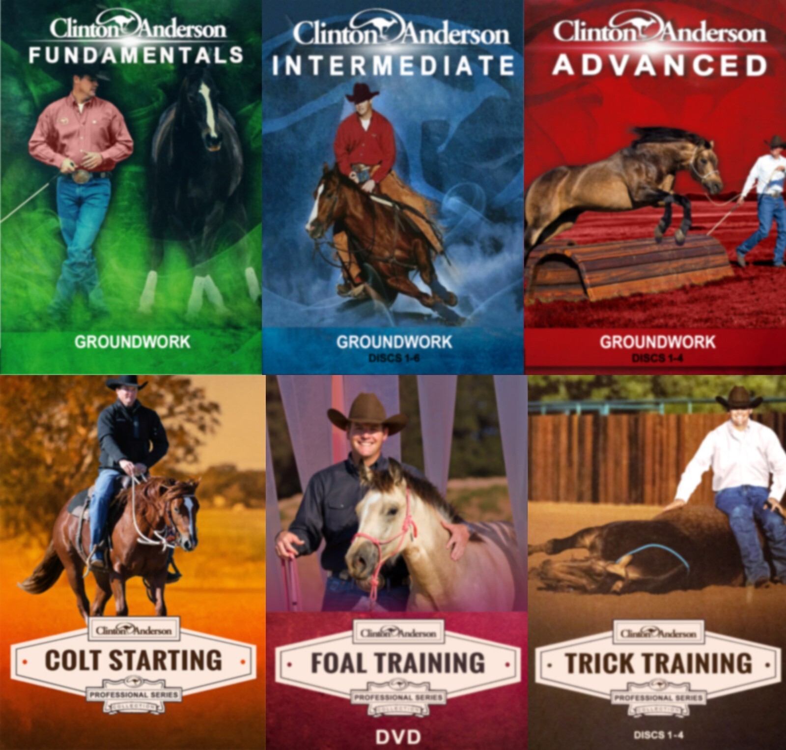 Clinton Anderson Fundamentals Intermediate Advanced Colt Foal Trick ...