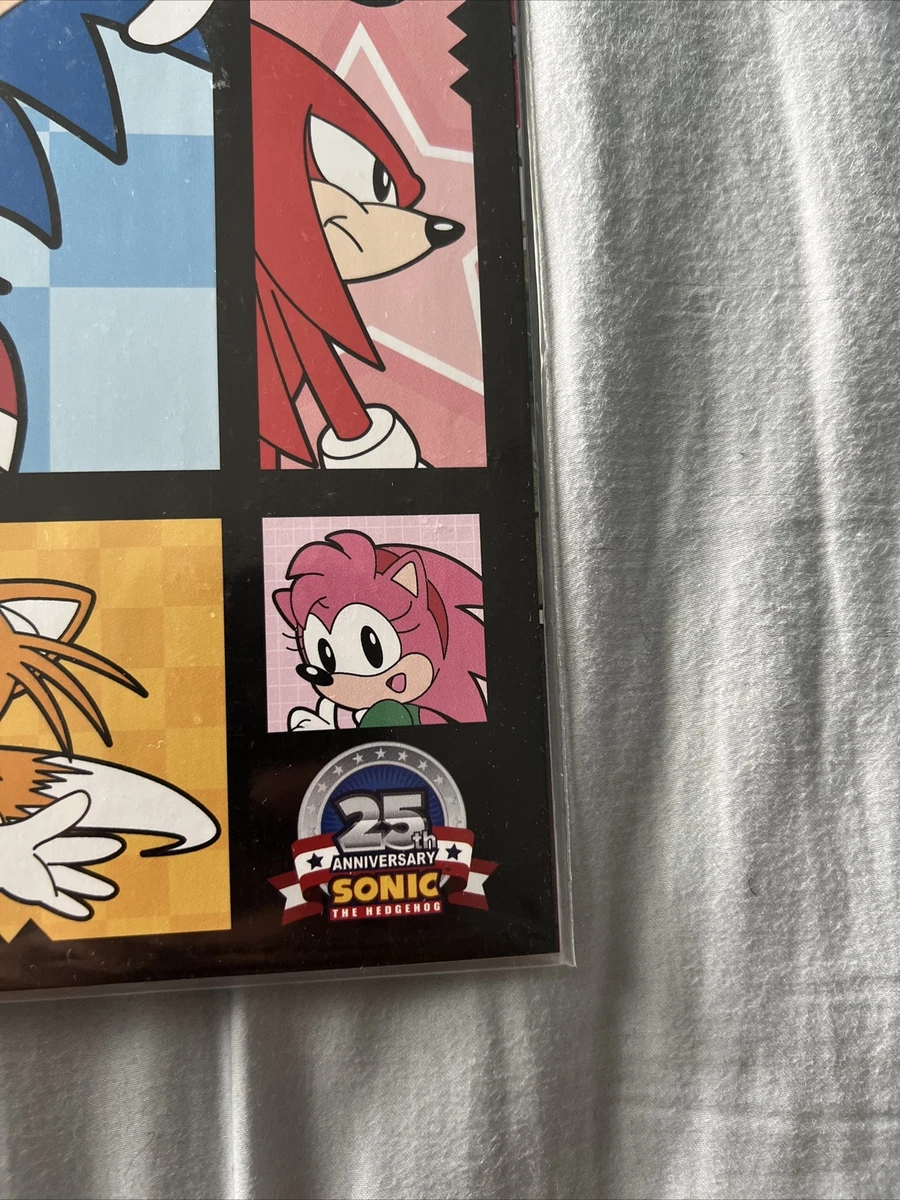 Tails And Amy Comics