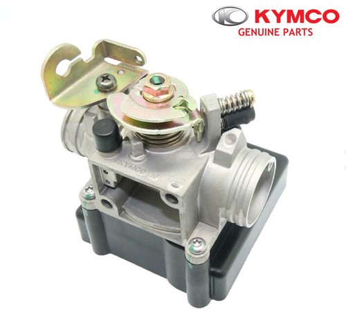NEW OEM KYMCO Throttle Body Assy EINSPRITZGAS AGILITY 50 | eBay.de