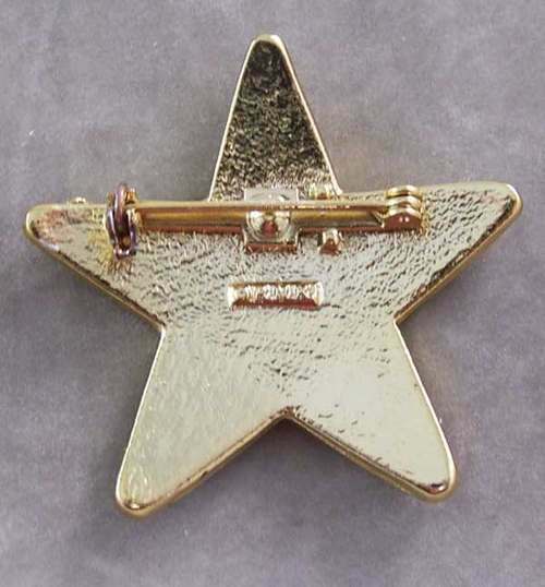 RNK Jewelry Gold Tone White Enamel 5-Point Star Western Brooch/Pin | eBay