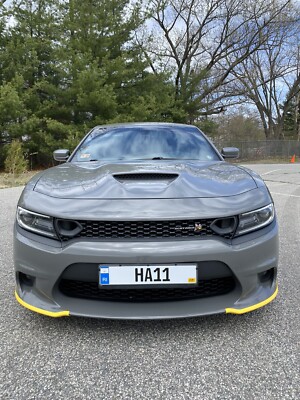 Dodge Charger OEM Shipping Guards | eBay