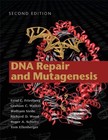 DNA Repair And Mutagenesis 9781555813192| eBay