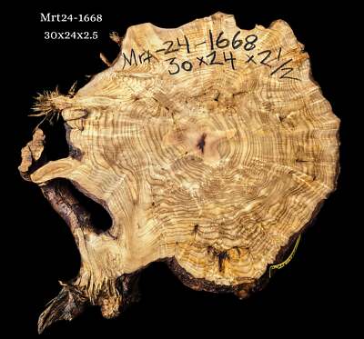 Myrtle Wood | Burl slab | Epoxy River Table | DIY Wood | Mrt24-1668 | eBay