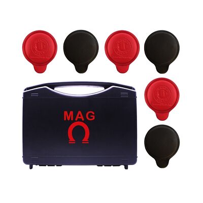 MAG® FERRITE Magnets KIT 6 Units for Biomagnetism 5200 Gauss ...