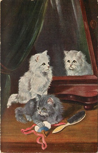 c1907 German Cat Art Postcard Kittens play w/ Brush & Powder Puff on ...