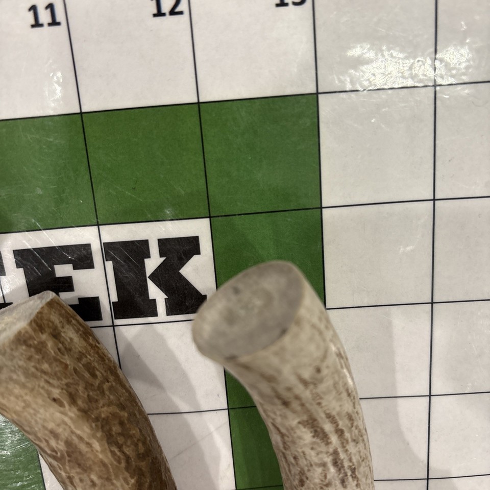 5 Whitetail Deer Antler Crowns Knife Handles Cane Deer Shed Rosette ...