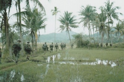 Vietnam War Photos -- Soldiers Moving through Rice Paddies | eBay