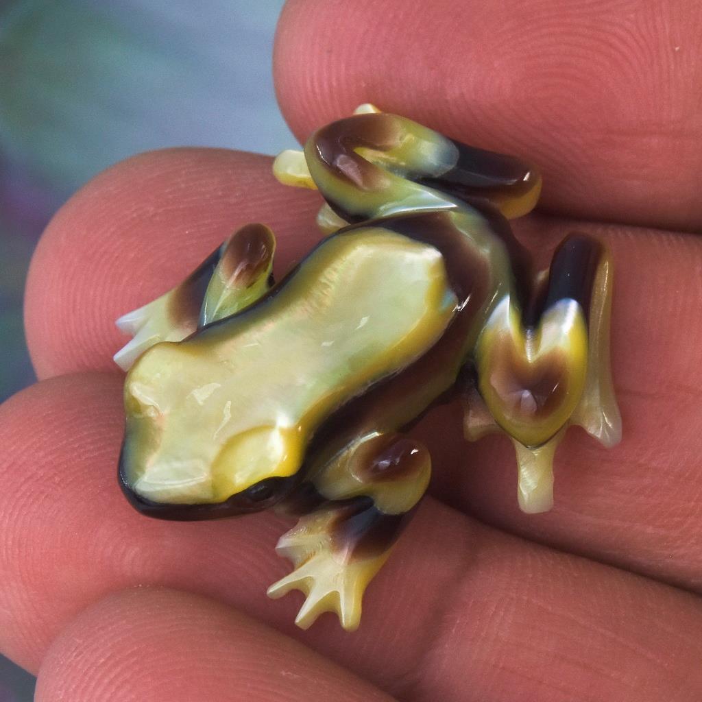 Curare Poison Arrow Frog Mother-of-Pearl Shell Carving Collection ...