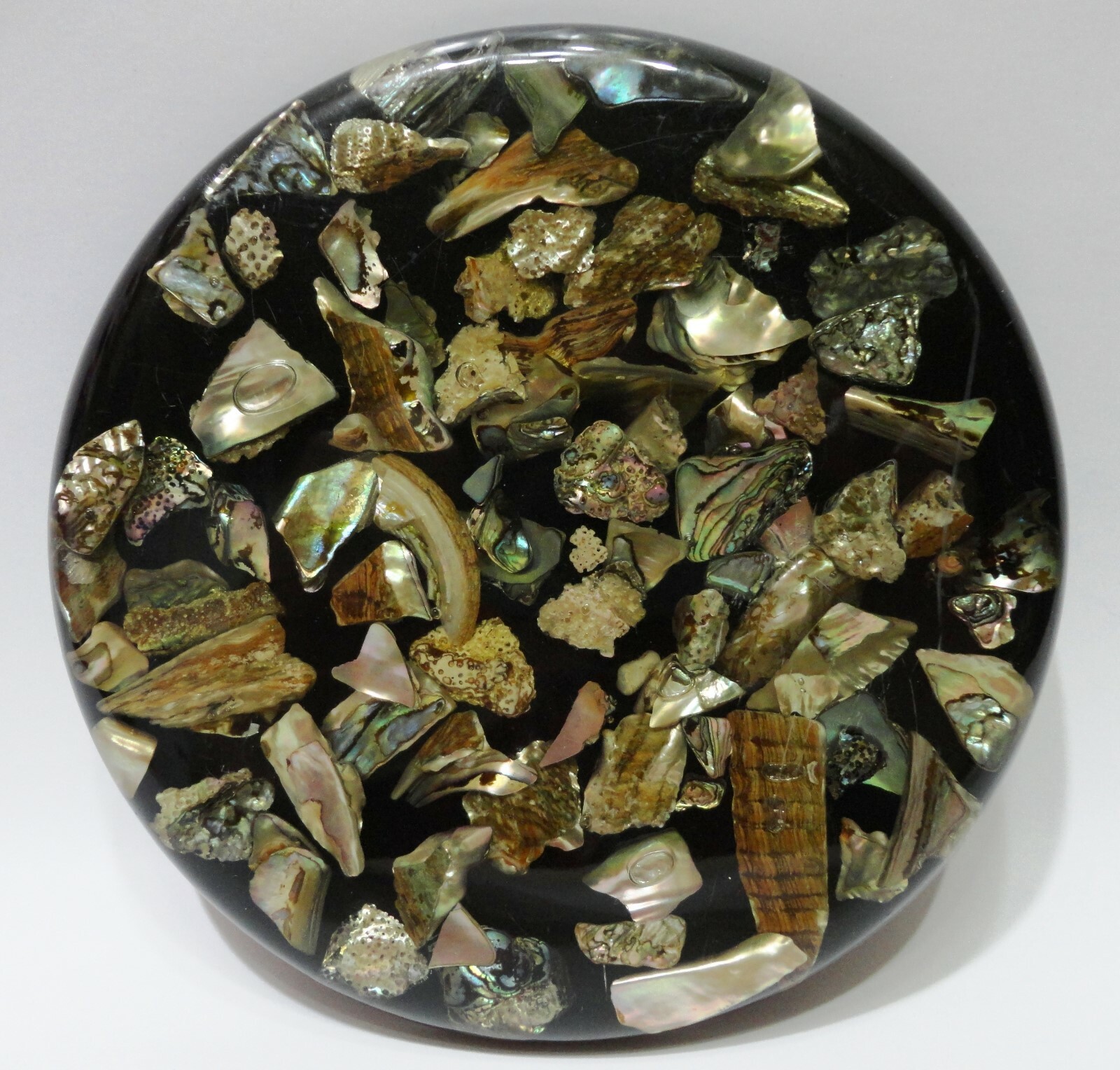 Vintage The Coral Reef Farmer's Market Abalone Trivet Mid Century Hot ...