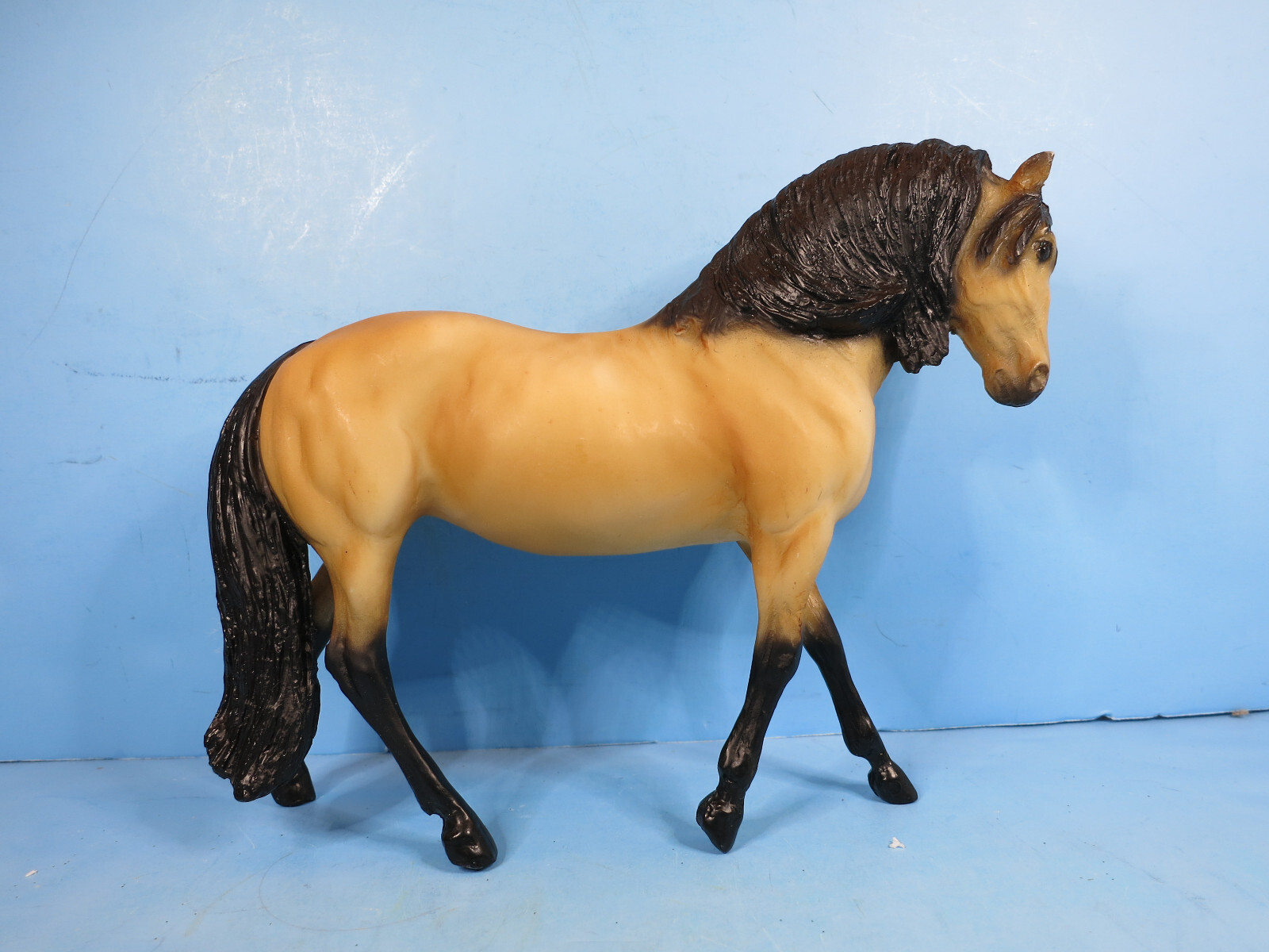 Lusitano Buckskin